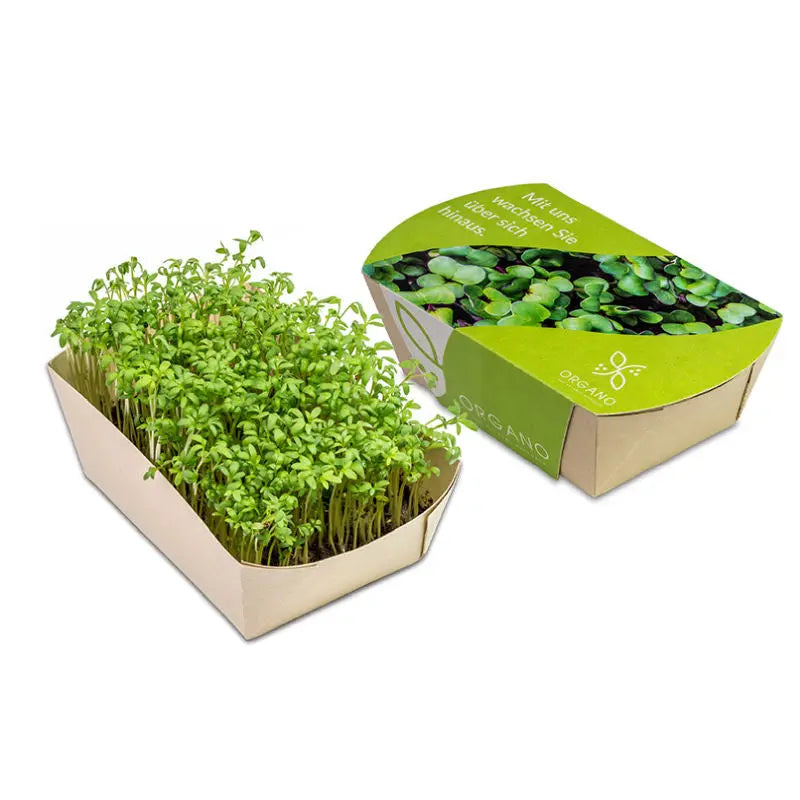 Microgreens-Gärtchen Kresse - Frisch & Gesund Anbauen - TK Gruppe® – TK ...